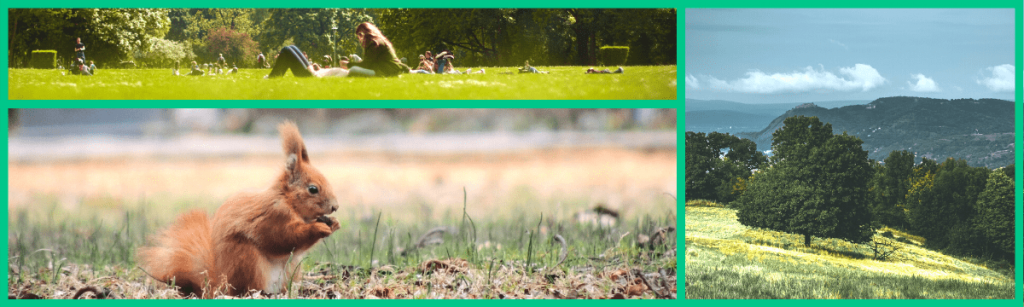 A Complete Guide to Budapest for Remote Workers